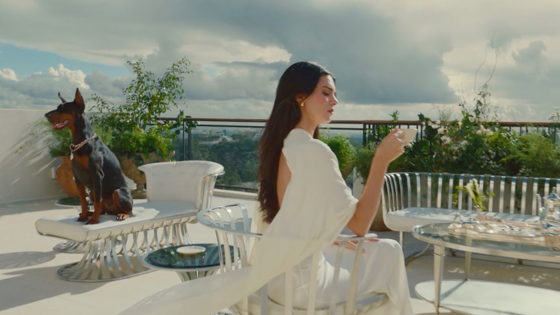 Gravy Films | Directors Cameron Harris